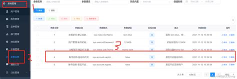 若依前后端分离，去除验证码登录无需修改代码我的天空blog Ruoyi 若依