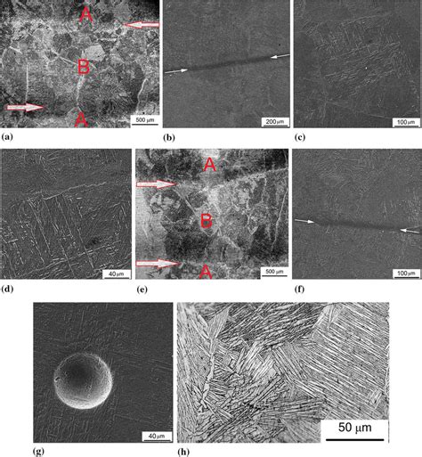 microstructure of 3d printed according lattice strategy material in