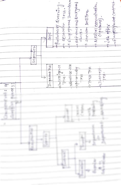 Solution Staffing Chart Studypool