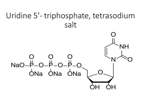 Uridine 5′ Triphosphatetetrasodium Salt Akonscientific