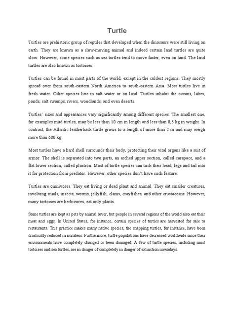 Text Report Turtle Pdf