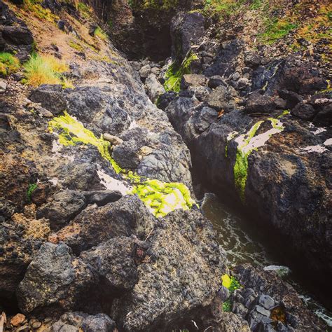 Oc Costal Estuary On The Oregon Coast 3225x2763 Rearthporn