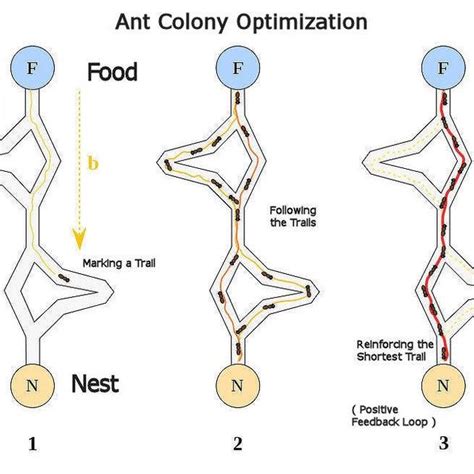 ant colony optimization download scientific diagram
