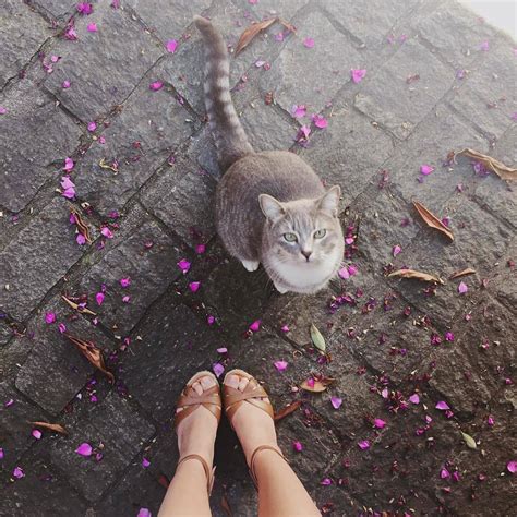 Giovanna Ferrarezis Feet