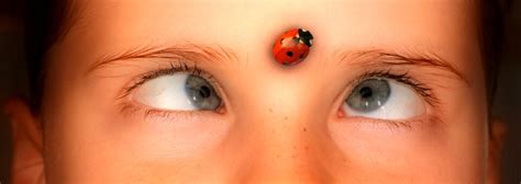 Person Girl Ladybug Free Photos On