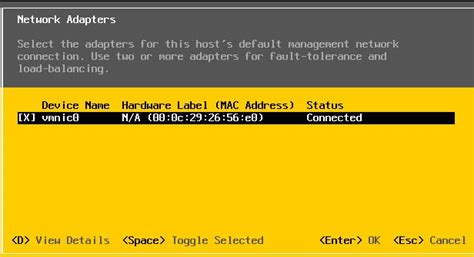 Configuring IP Address For ESXi Host