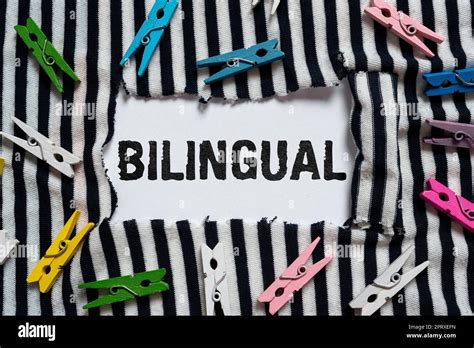 Conceptual Caption Bilingual Business Concept Digital Database Containing Information That Can