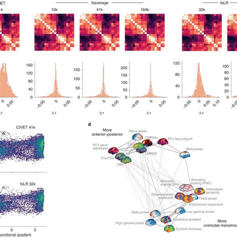 Application Of Neuromaps To 20 Brain Maps A Correlation Matrices For