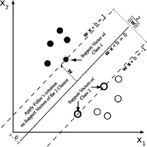 illustration of the binary classification topology showing the margin