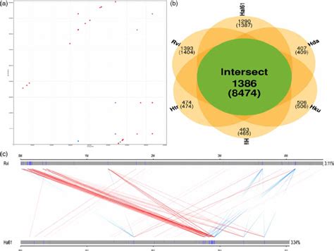 The Comparative Genomic Analysis Of Genome Bacillus Velezensis Download Scientific Diagram