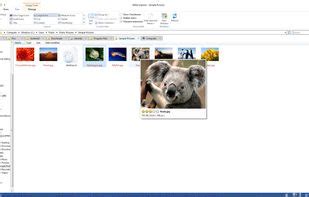Better Explorer Open Source Windows File Manager Replacement AlternativeTo