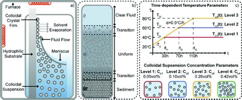 A Vertical Convective Self Assembly Diagram B Concentration Download Scientific Diagram