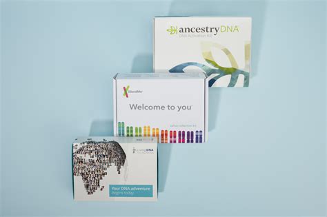 What Are The Different Types Of Dna Testing