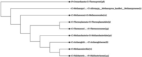 16s rrna sequence analysis wellgulf