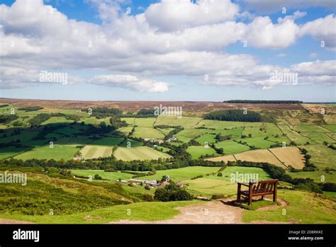 Bench On Rosedale Moor With View Of Green Fields In Esk Dale Valley In