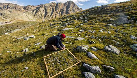 Research Study Shows Massive Biodiversity Loss In German Flora In Past