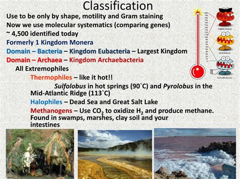 Ppt Chapter 27 Prokaryotes Powerpoint Presentation Free Download
