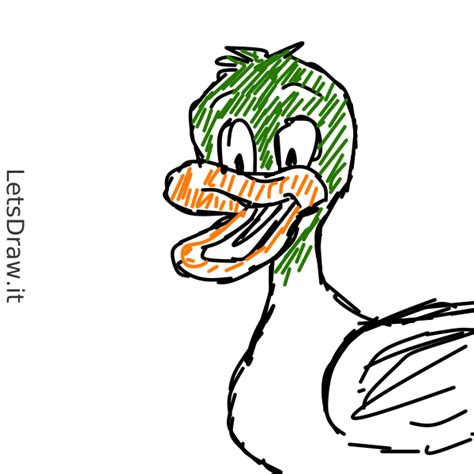 How To Draw Duck Kc3qpfwej Png LetsDrawIt