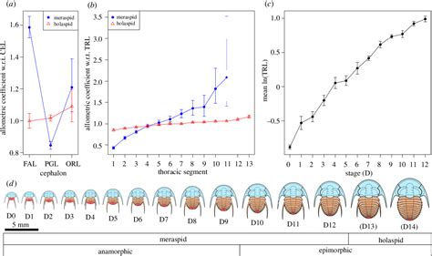 Figure 1 From Complex Axial Growth Patterns In An Early Cambrian Trilobite From South Australia