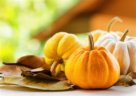 გოგრის ორცხობილა ქიშმიშით ჯანსაღი სასუსნავი