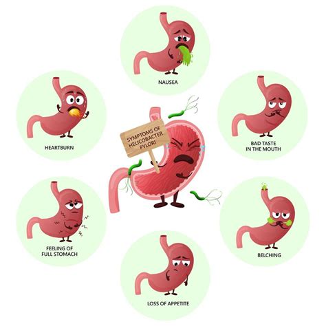 Helicobacter Pylori Infection Symptoms Infographic With Cartoon Stomach