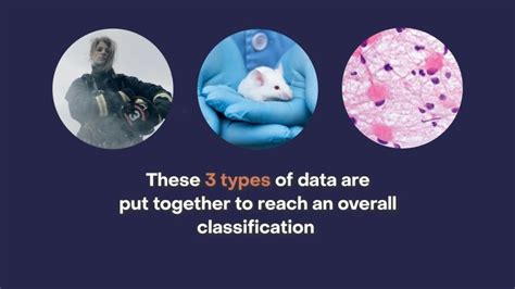 Iarc Monographs Hazard Classification Process Heidi Mattock