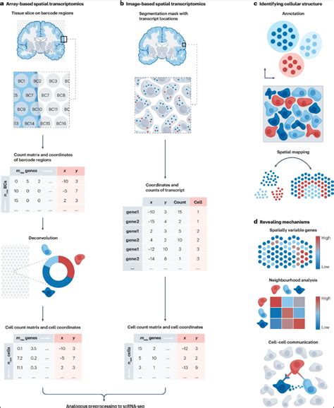 热点综述 跨模态单细胞分析的最佳实践 Sccoda Csdn博客