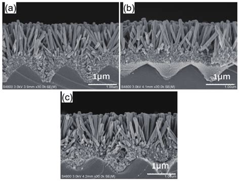 Color Online Cross Sectional Morphologies Of The Zno Nanorod Arrays Download Scientific