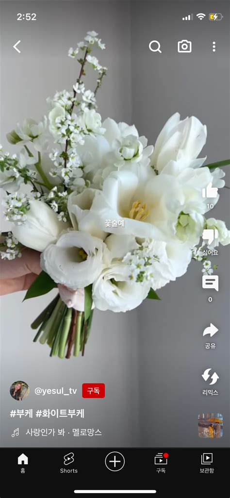 부케 꽃 종류 지식in