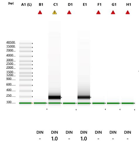 Why My ATAC Seq Protocol Did T Work ResearchGate