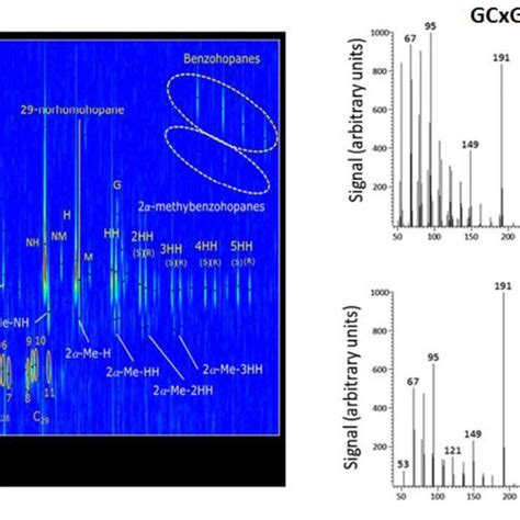 —thermal maturity markers ts and tm [20] left panel gcxgc