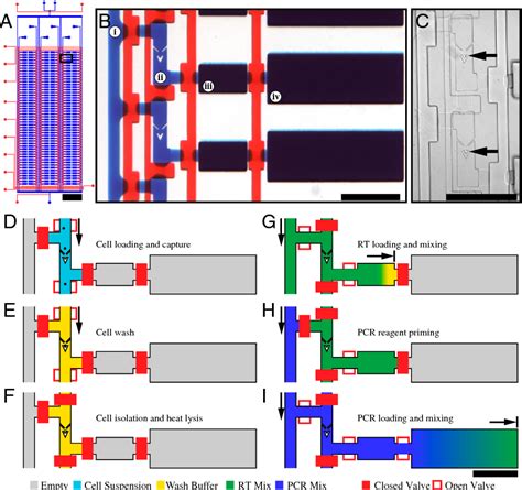 Figure 1 From High Throughput Microfluidic Single Cell Rt Qpcr