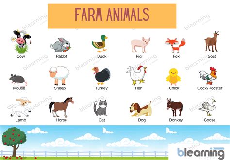 Adultos A2 Vocabulary B Learning Academy