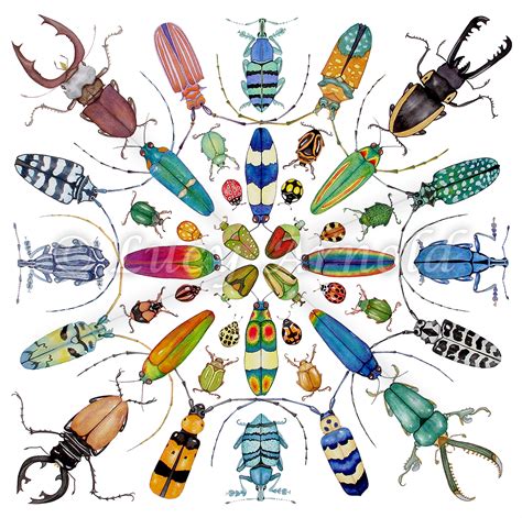Welcome Insect Art Bug Art Beautiful Bugs