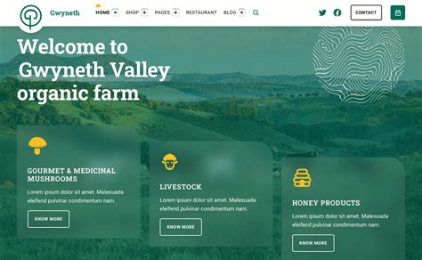 15 Best Wordpress Block Themes For 2025 Envato Tuts