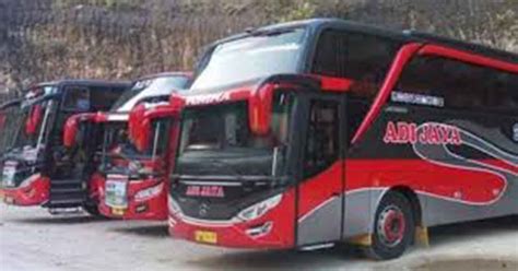 Kenali Perbedaan Antara Shuttle Travel Dan Bus Pariwisata Dalam Layanan Transportasi