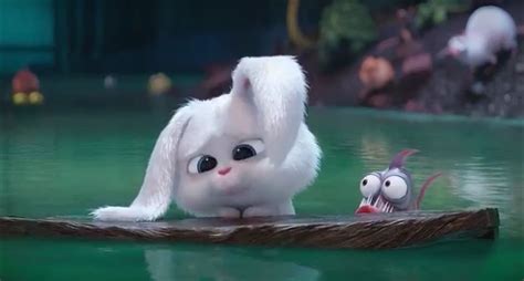 Pin By Jeffrey Gayle Hay On The Secret Life Of Pets Cute Bunny