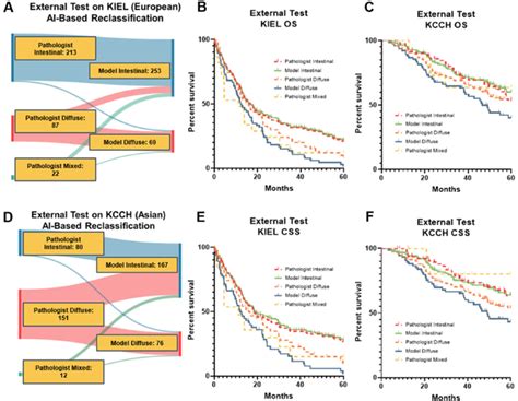 Dl Based Subtyping Improves Prognostication In External Cohorts A