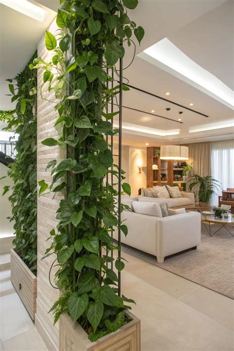 20 Creative Pothos Decoration Ideas For Your Home Gardeneco
