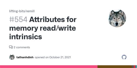 attributes for memory read write intrinsics · issue 554 · lifting bits