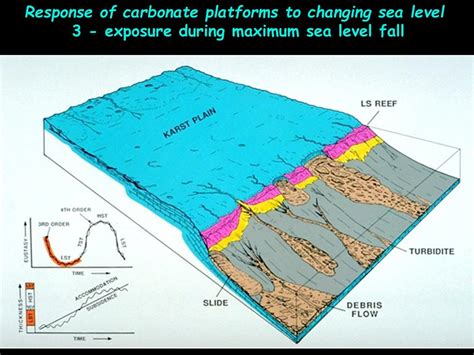 Ppt Carbonate Sediments Facies And Depositional Environments