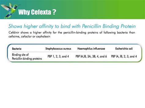 Cefexta Cefdinir An Extended Spectrum Antibiotic Pptx Ear Nose And Throat Conditions