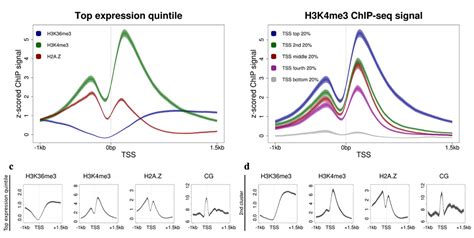 Seqplots Interactive Software For Exploratory Data Analyses Pattern