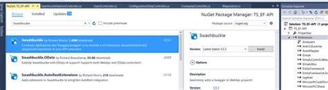 implementar ui swagger com api web yourcode