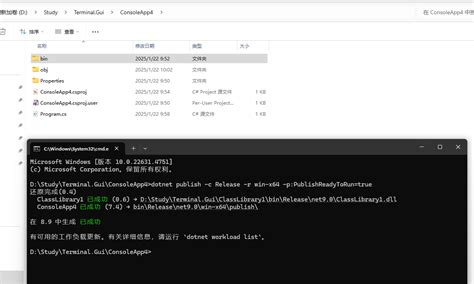 Net9 Aot部署 Csdn博客
