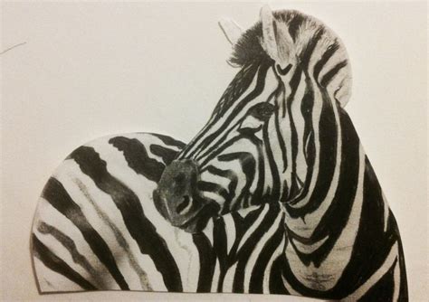 Zebra Pencil Drawing