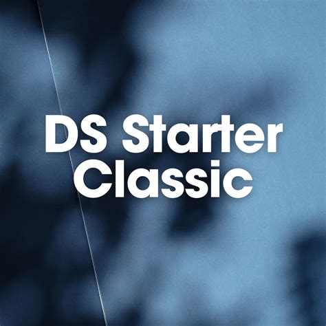 Ds Starter Classic Exclusive Seo Optimization Package