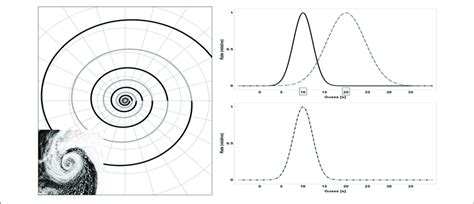 left the logarithmic spiral is a mathematical curve that is