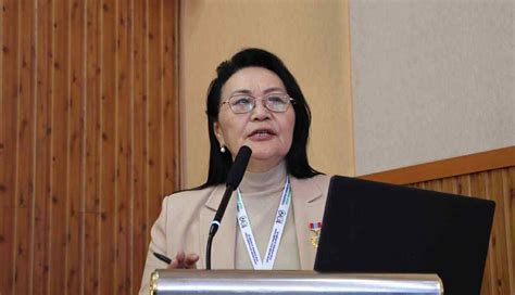 Уламжлалт Эмнэлэг Хэнтий Уламжлалт Эмнэлэг Хэнтий Аймаг