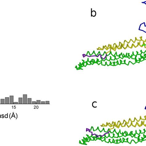 A Distribution Of C α Rmsd From The Native Structure Of The Dual Bar Download Scientific